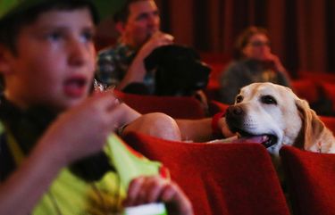 Dog show: Canines go to the theater for ‘Rescue Dogs’ premiere | The ...