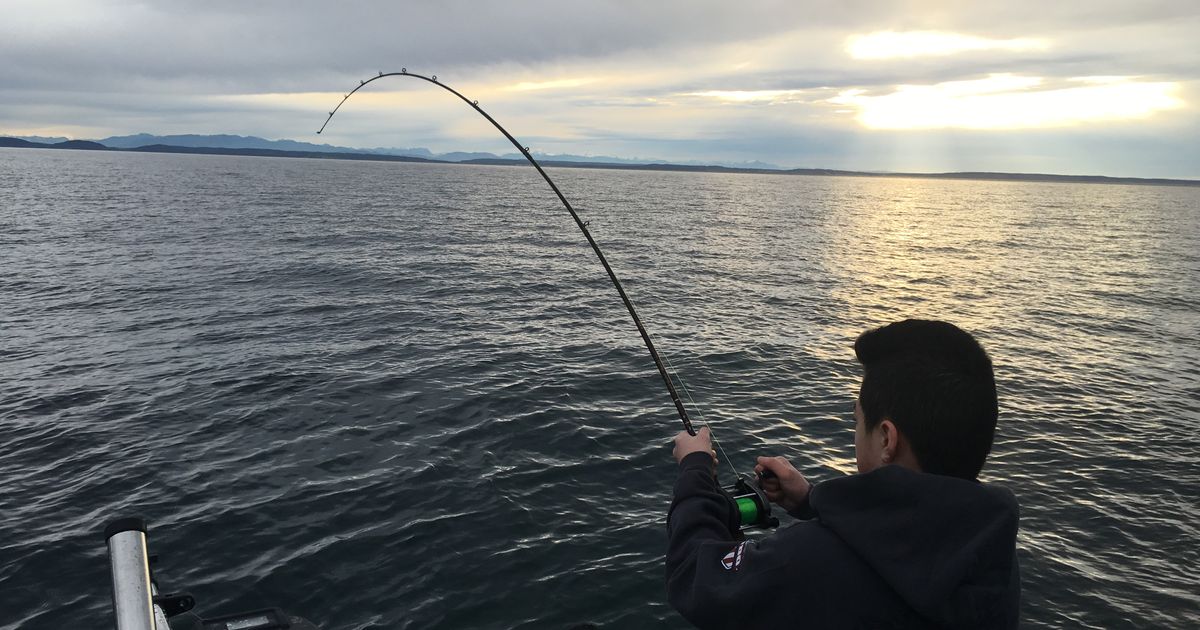 State and tribes still at impasse on salmon fishing seasons; all of ...