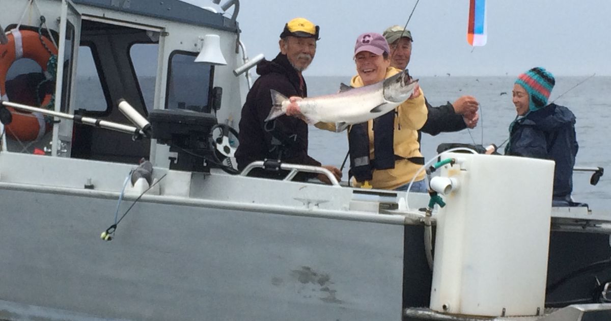 Talks between state and tribes resume on setting Puget Sound salmon ...