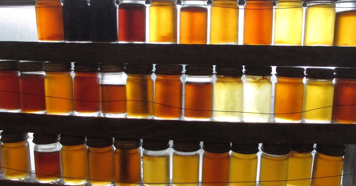 Maple syrup producers having strong year, thanks to weather | The ...