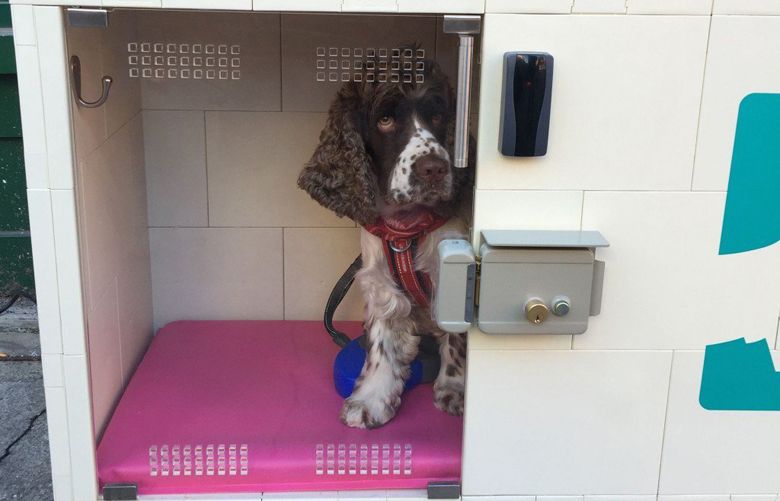 App-based business lets owners stash their dogs in boxes while running ...