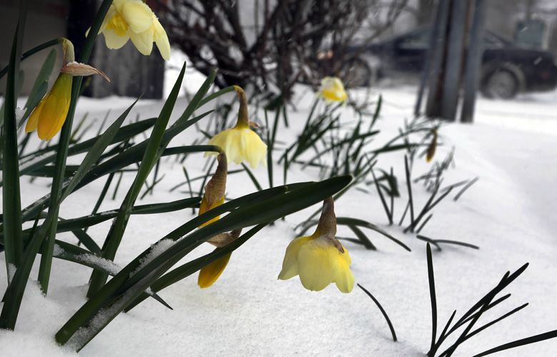 April showers of the frozen kind hit Northeast; records set | The ...