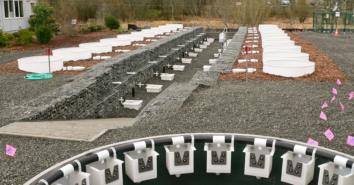 Solving the stormwater problem through teamwork | The Seattle Times