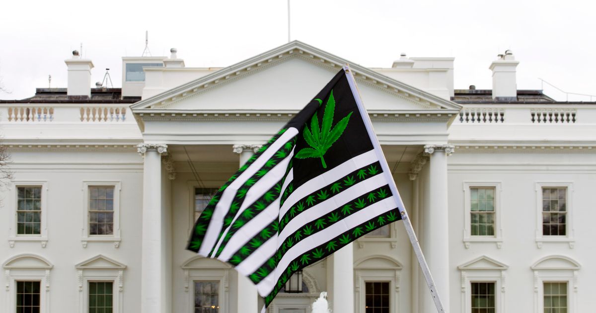 Clinton, Trump both say they’ve never smoked pot | The Seattle Times Clinton, Trump both say they’ve never smoked pot | The Seattle Times