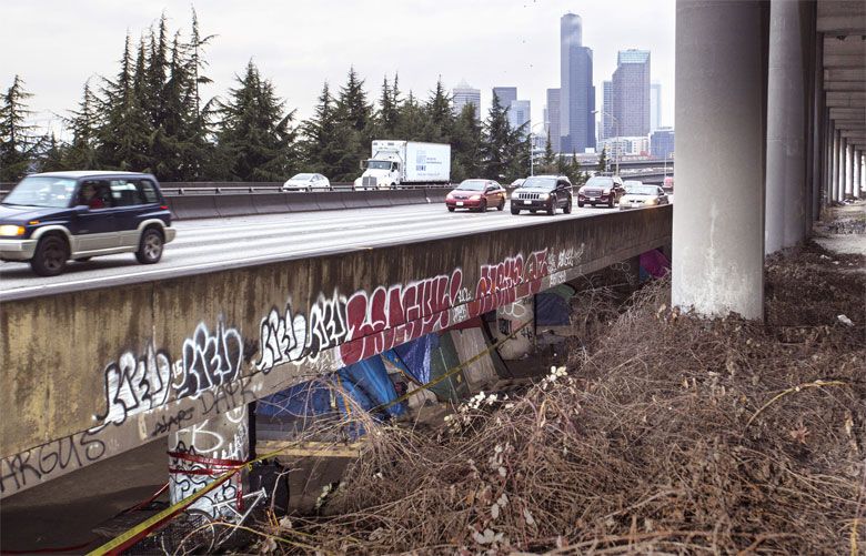 Seattle aims to clear out The Jungle homeless camp | The Seattle Times