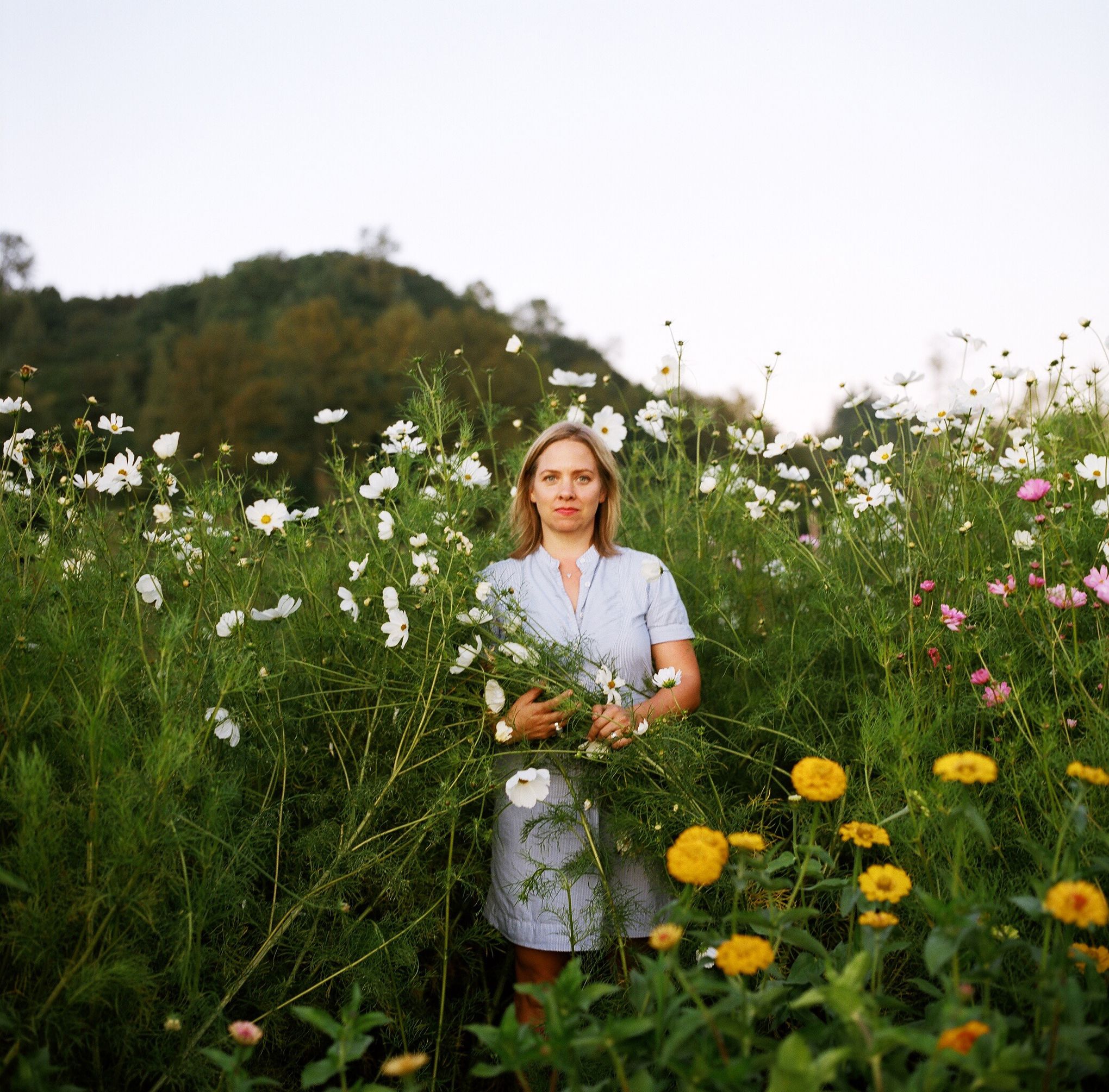 Flower Hill Farm Hawaii | Best Flower Site