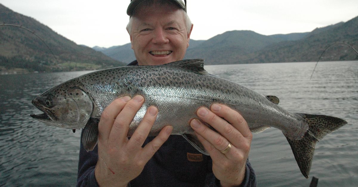 Lake Chelan offers excellent catches of lake trout, and nearby Wapato ...