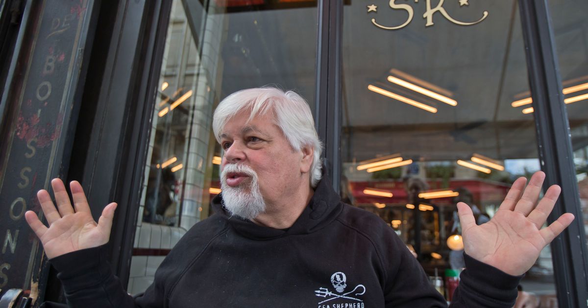 Sea Shepherd founder Paul Watson rams whalers for a living | The ...