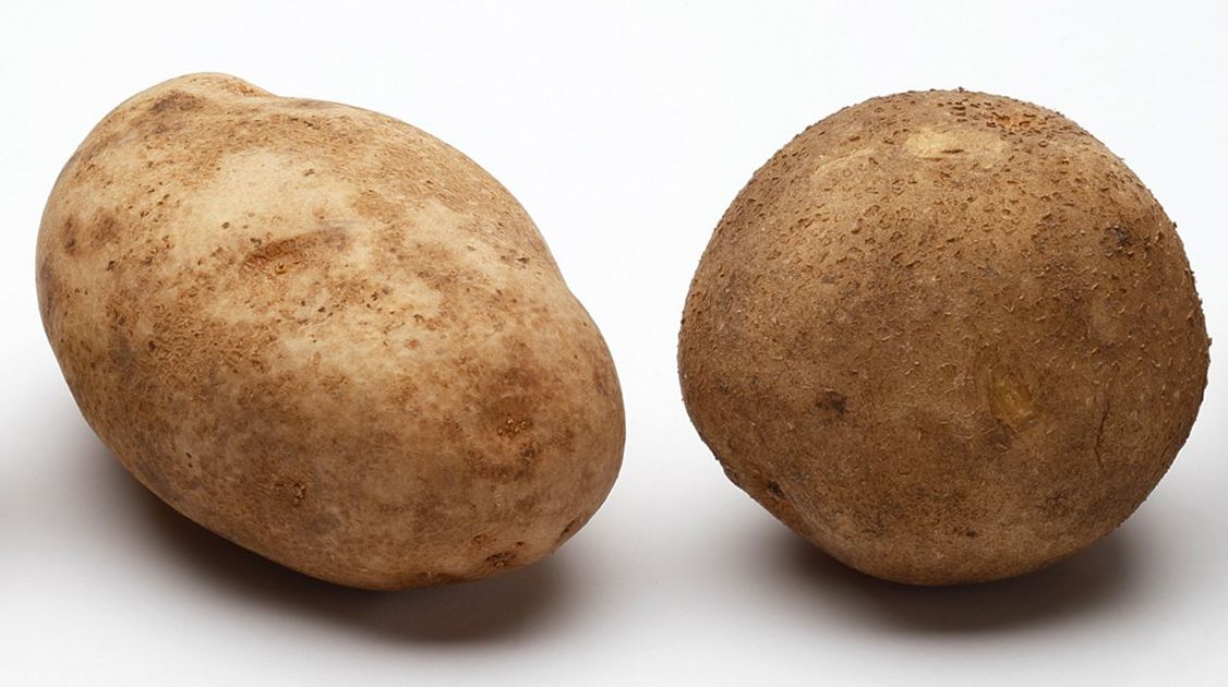 On second thought, don’t use tires when you’re planting potatoes | The ...