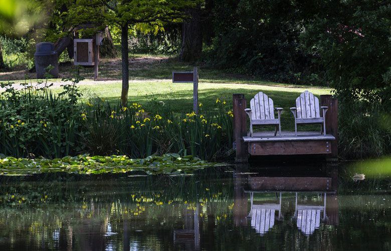 From humble beginnings, Medina grows into a waterfront community of ...