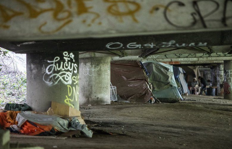 One person in custody in arsons near Seattle’s ‘Jungle’ homeless ...