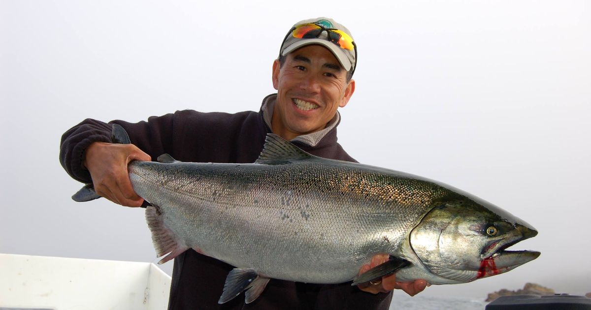 Tony Floor’s Tackle Box finds summer fishing options aplenty in months ...