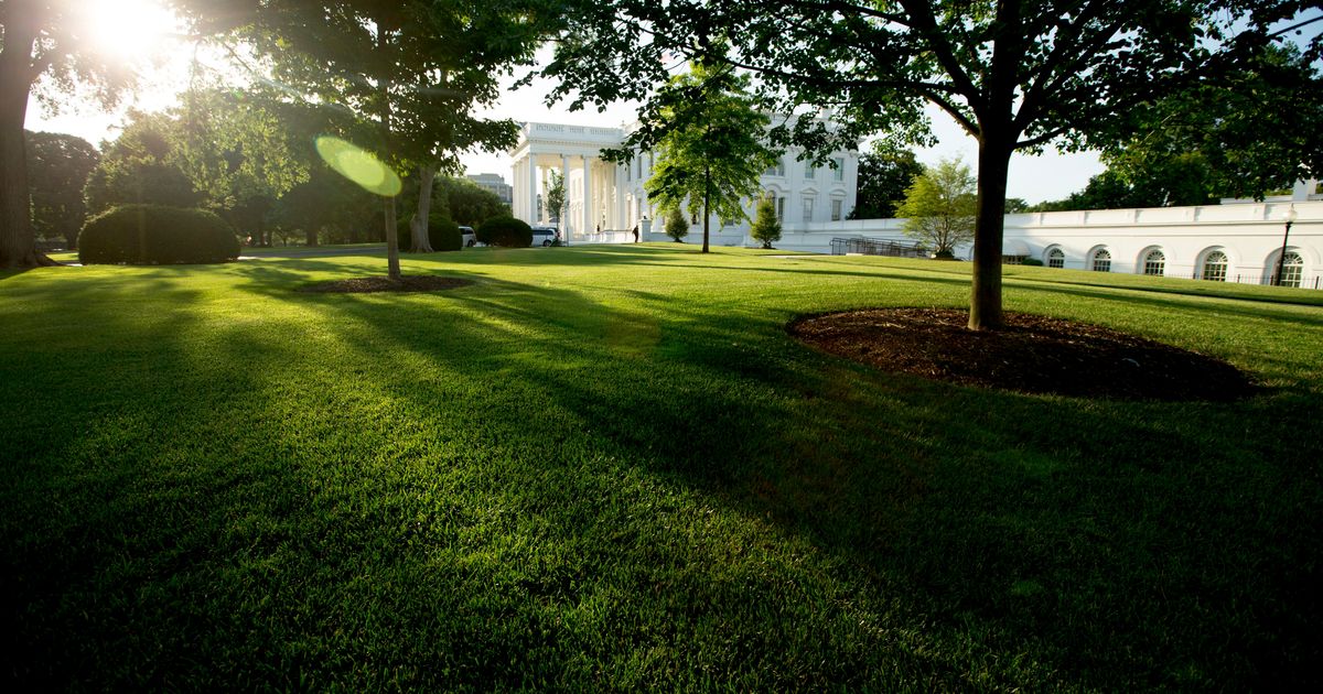 Road to 270: Electoral map already looks tough for Trump | The Seattle ...