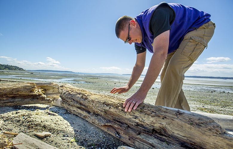 Tunneling clams help a Salish Sea renaissance man make art from ...