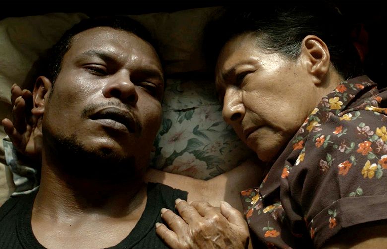 ‘Land and Shade’: Family drama plays out on Colombian farm | The ...