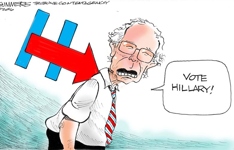 This week’s editorial cartoons: Democratic National Convention, Putin ...