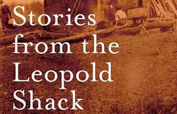 David B. Williams | The Seattle Times