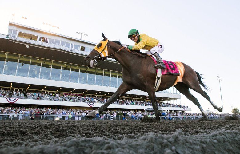 Point Piper takes Longacres Mile in track record time as Stryker Phd ...