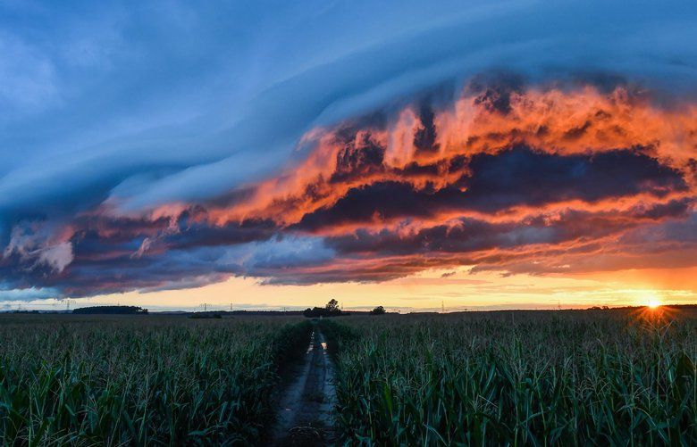 Photos of the Day: Aug. 22, 2016 | The Seattle Times