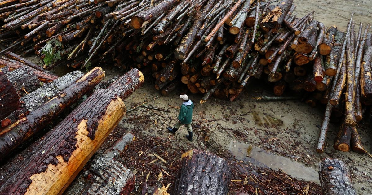 Lawsuit over fireline seeks to curb forest firefighting tactics | The ...