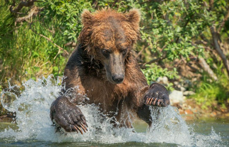 How our photo-contest winner got this spectacular shot of a great big ...