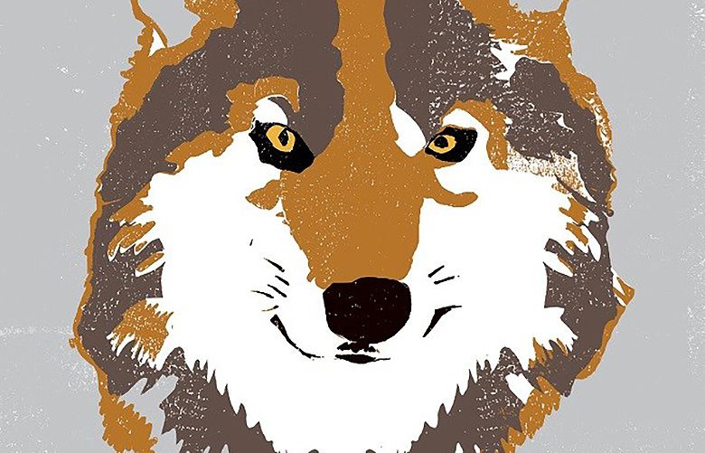 ‘Coyote America’: a wild, smart predator determined to survive | The ...