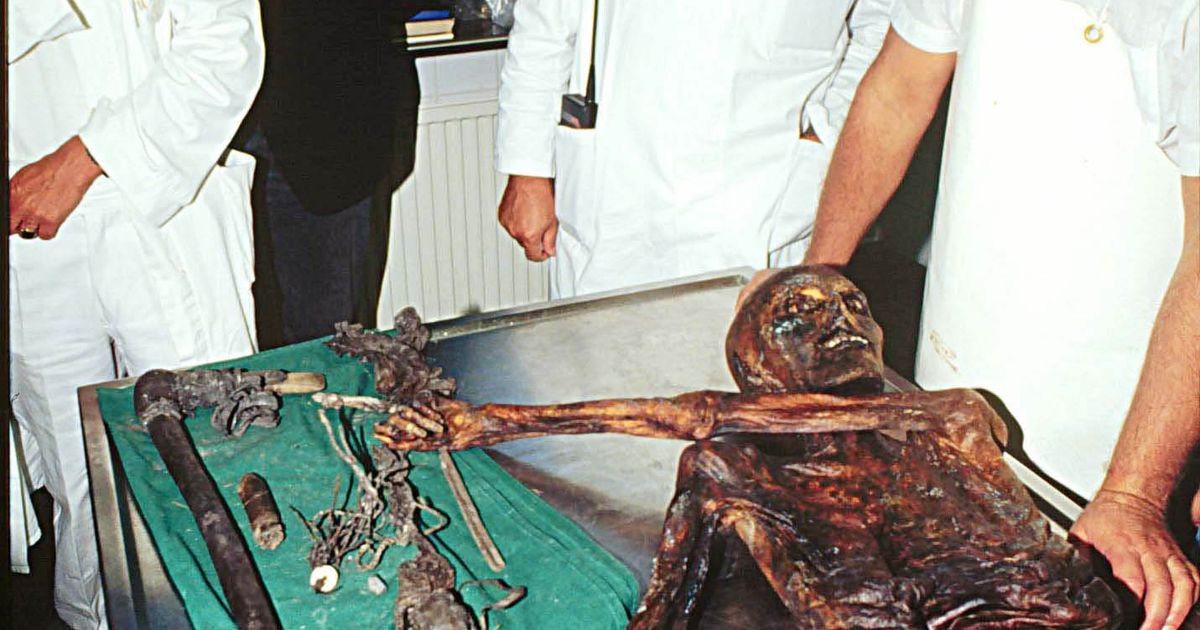 Study finds ancient Iceman wore hat made of bear skin | The Seattle Times
