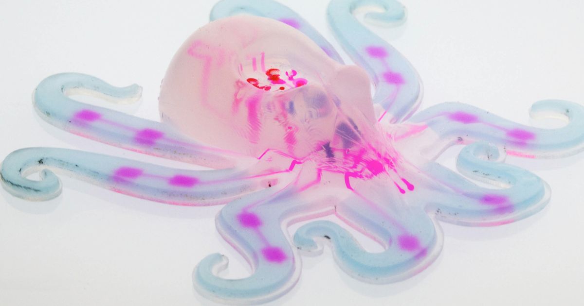 Meet octobot, a soft-bodied robot that looks like the future | The ...