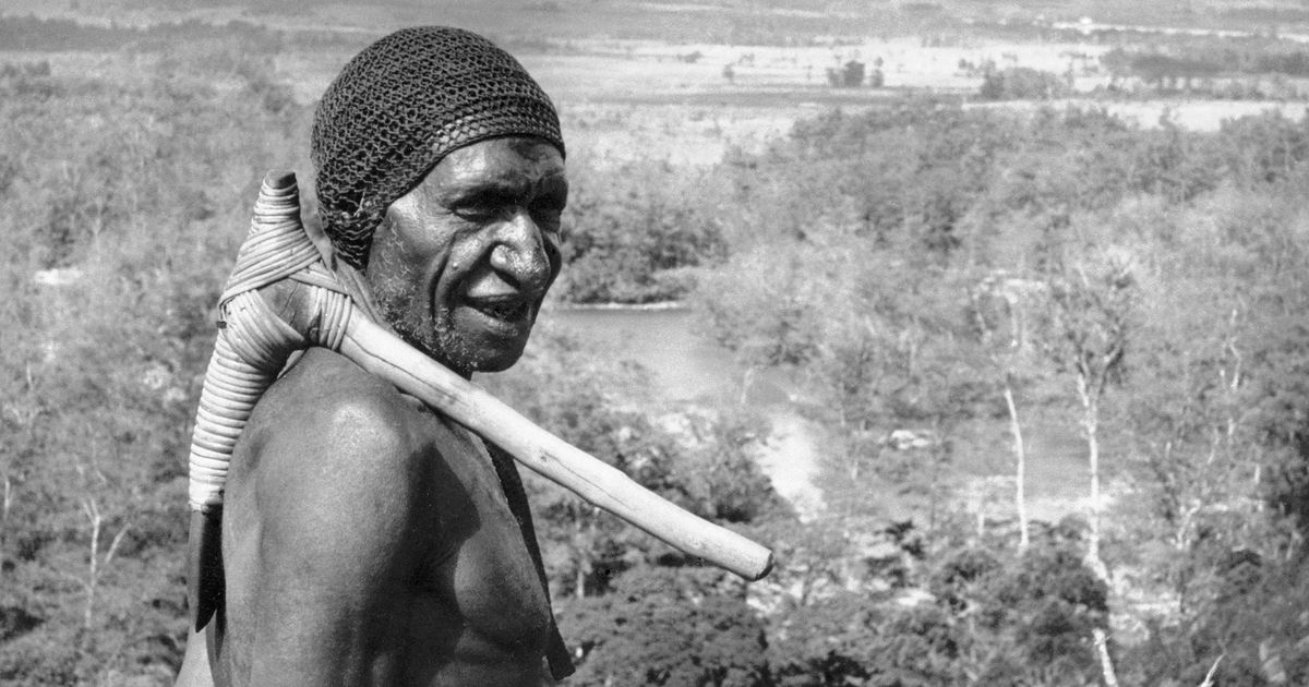 Human DNA tied mostly to single exodus from Africa long ago | The ...