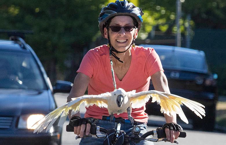 Big Bird Bubba, speed demon | The Seattle Times