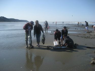 Dig this news: Tentative dates announced for upcoming coastal razor ...