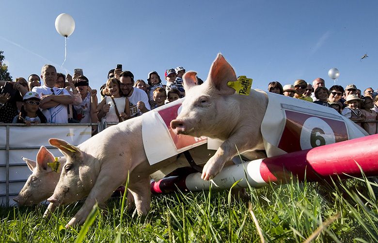Photos of the Day: Sept. 10, 2016 | The Seattle Times