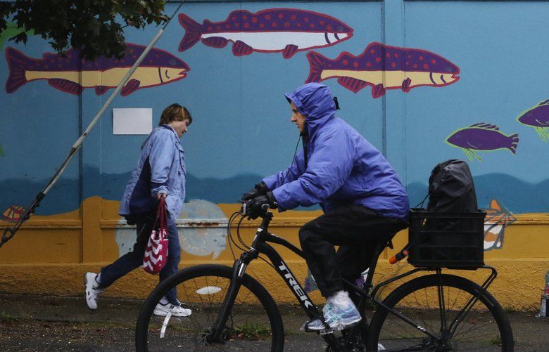 ‘We’re in for it’ as powerful windstorm sweeps toward Seattle | The ...