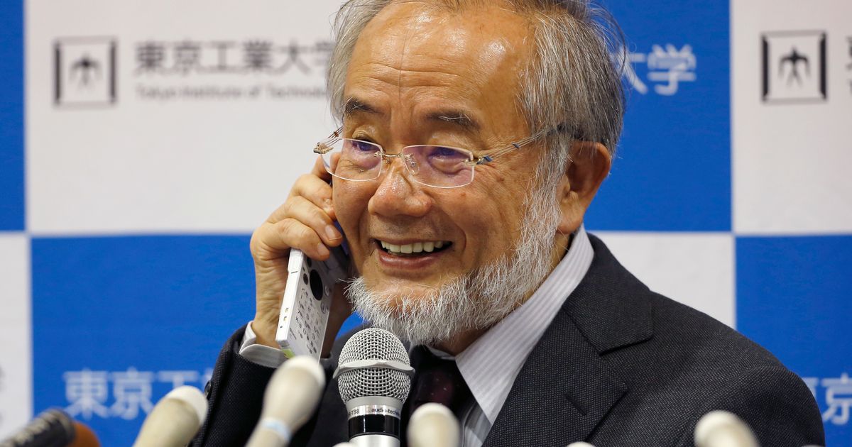 Japanese scientist wins Nobel for study of cell recycling | The Seattle ...