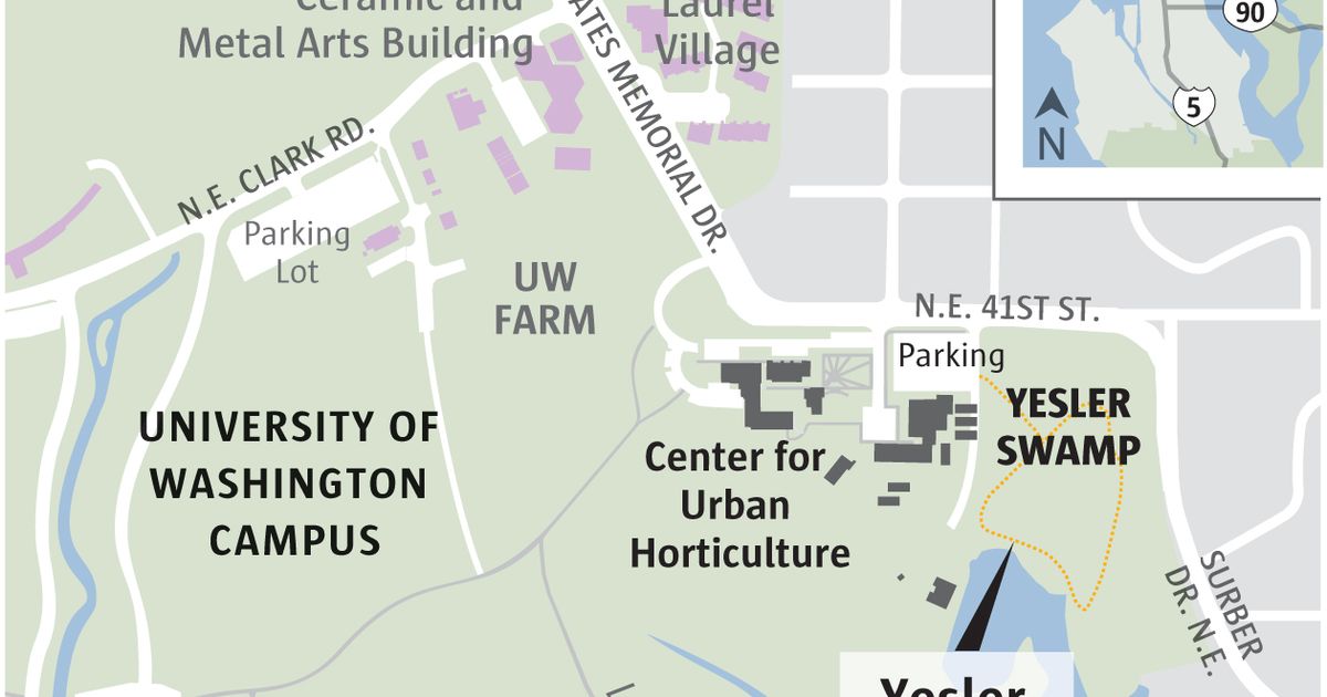 Seattle’s own urban swamp gets a boardwalk trail | The Seattle Times