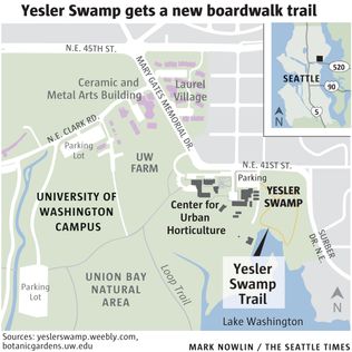 Seattle’s own urban swamp gets a boardwalk trail | The Seattle Times