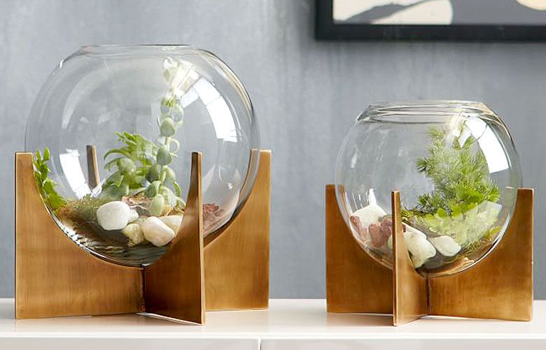 Ways to rethink your indoor garden | The Seattle Times