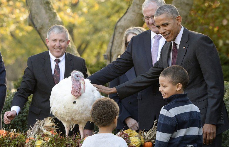 Obama makes final Thanksgiving turkey pardon | The Seattle Times