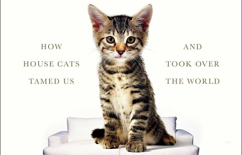 The Lion In Your Living Room Book Review | Baci Living Room