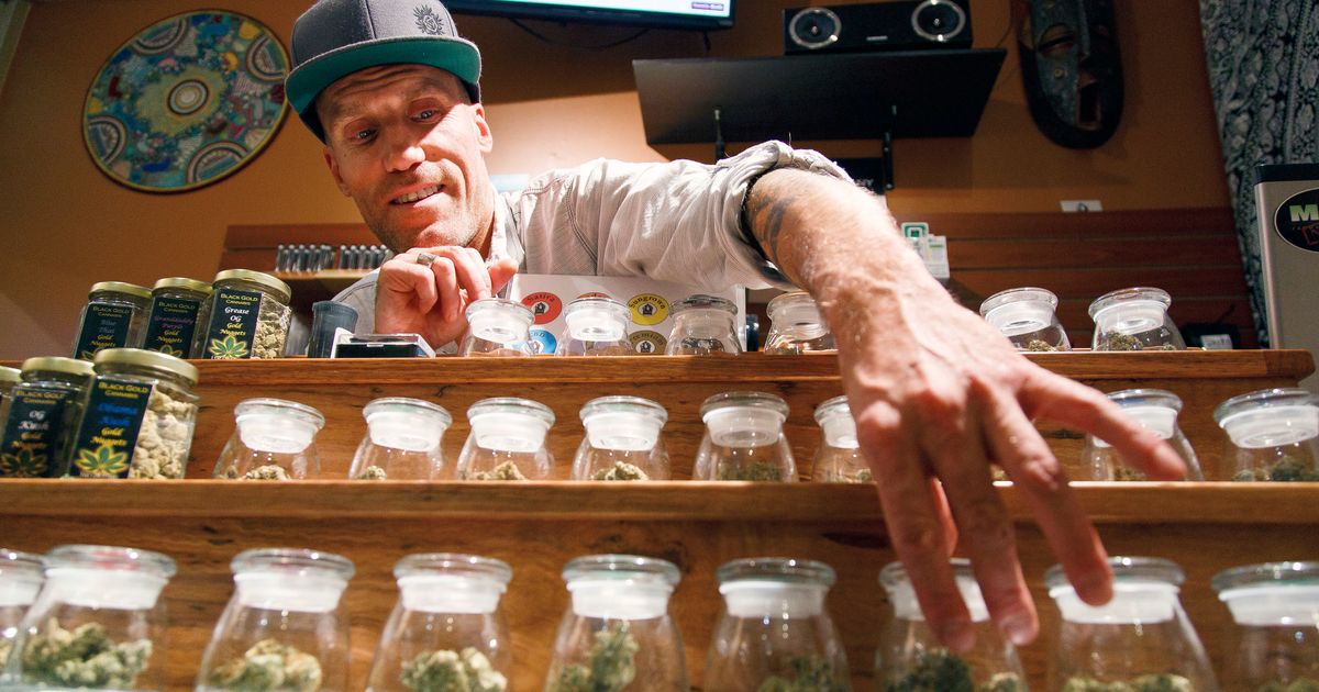 Weed is winning, but the train could still go off the tracks | The ...