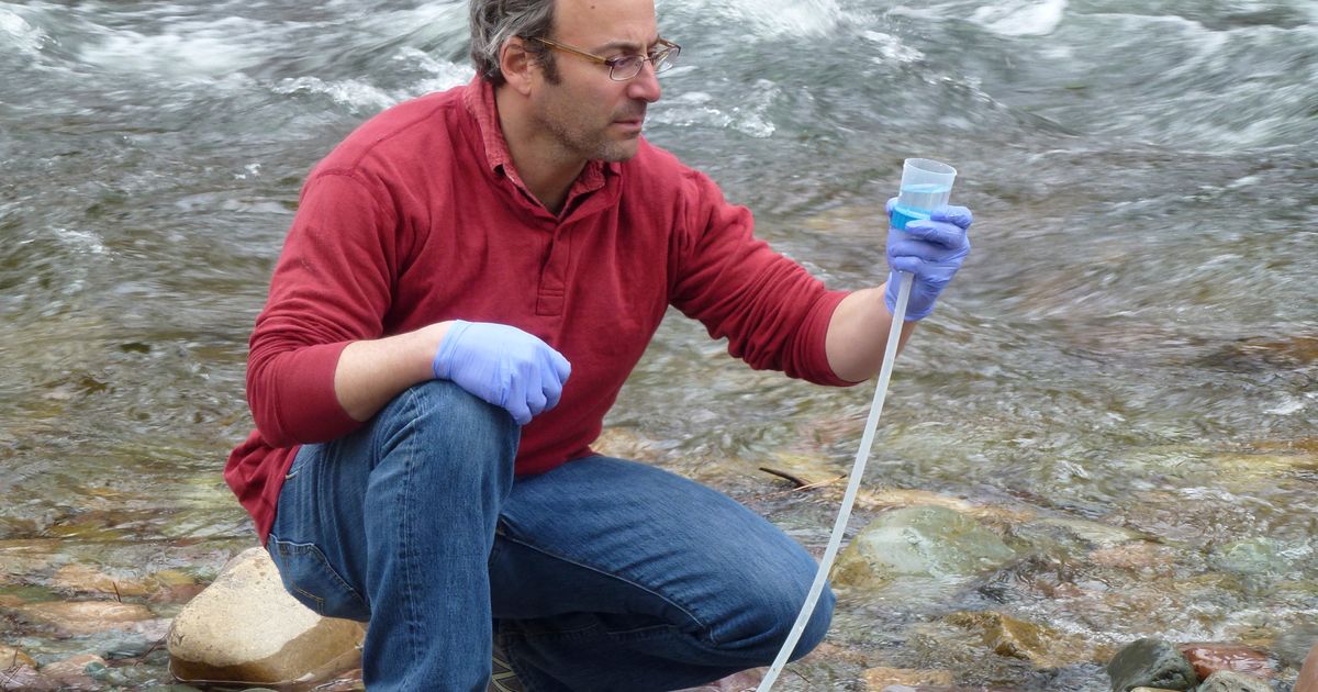 Scientists go big with first aquatic species map for U.S. West | The ...