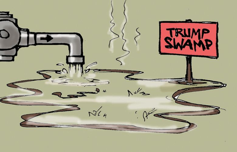 This week in cartoons: election aftermath | The Seattle Times