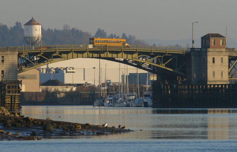 Bird drops salmon on Seattle power lines, knocks out power | The ...