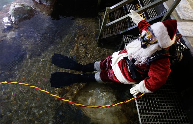 Santa takes a dive to tell stories at Seattle Aquarium | The Seattle Times