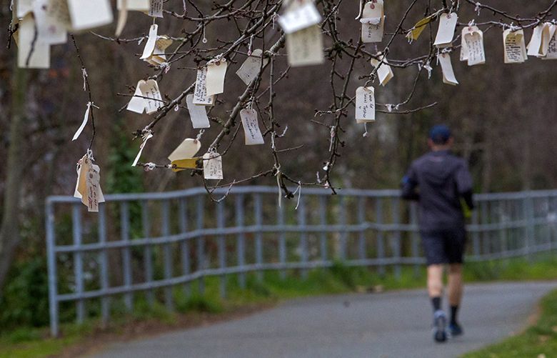 ‘Wishing Tree’ speaks to dreams, hopes of passers-by | The Seattle Times