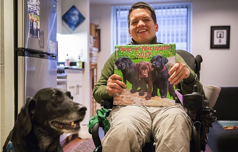 Pet project: Microsoft’s cat, dog calendars earn big bucks for ...