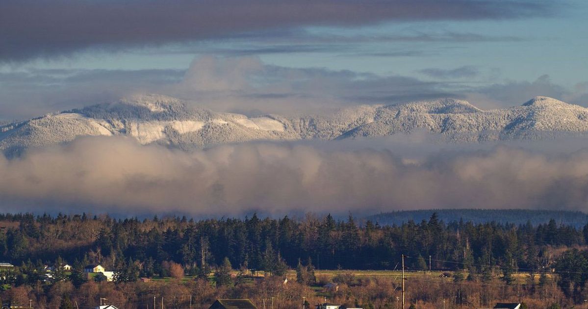 Here are some of the best snow photos from around the Seattle area ...