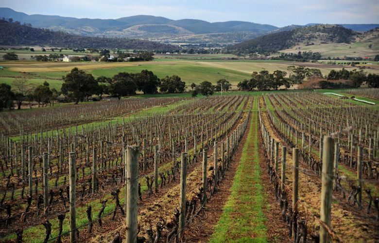 The Wonder from Down Under | The Seattle Times