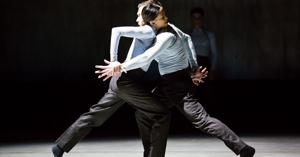 Whim W’Him taps the wisdom of crowds in ‘Sensation’ | The Seattle Times