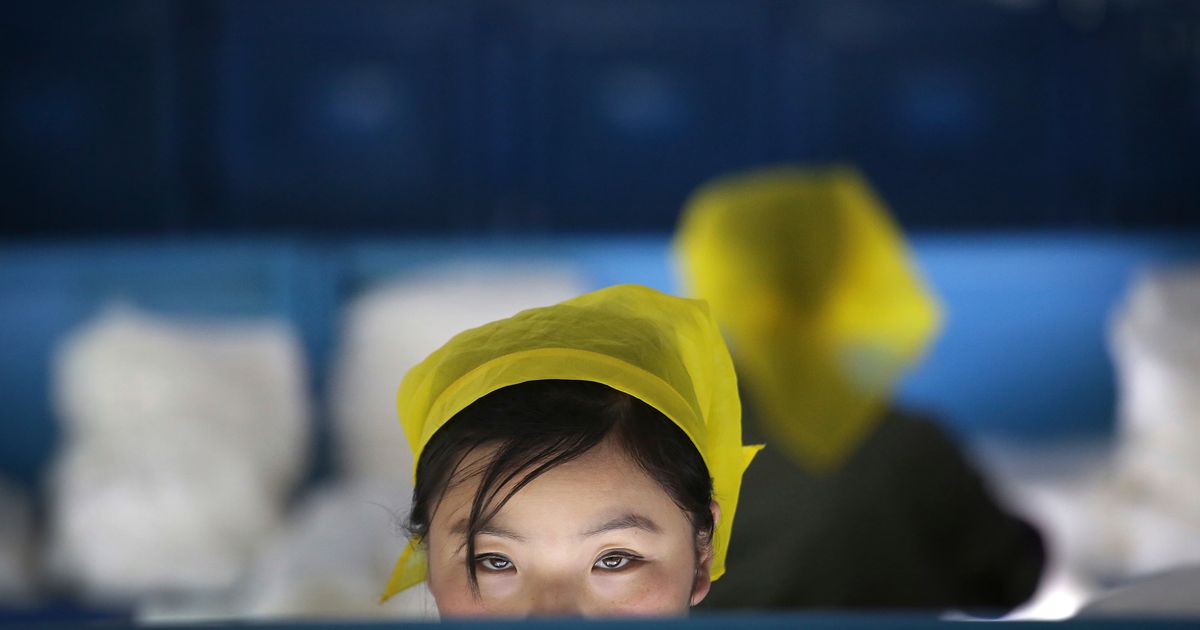 Silk, steam and slogans: Inside a North Korean factory | The Seattle Times